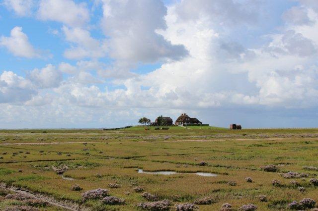 Tyskland og Danmark.Vadehavet I. Indledning | Bents bane